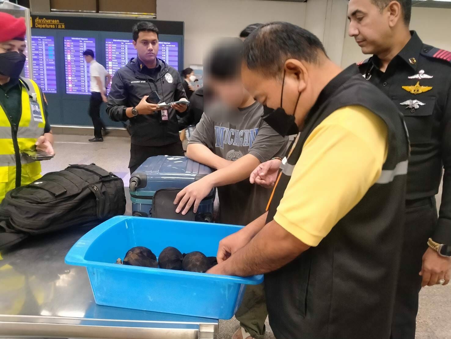 一名韩国男子因在曼谷走私濒危陆龟被捕 - Chengkok成都曼谷漫游指南